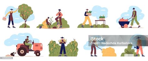 농부들은 일합니다 작업복을 입은 사람들이 사과를 따고 있습니다 식물 재배 과수원에 있는 과일 나무들 정원에 물을 주고 밭을 갈고 있는 남자 트랙터와 수확 건초 벡터 농업