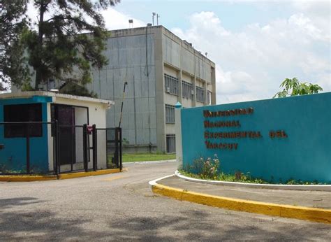 La Uney Iniciará En Septiembre Inscripciones Para Matricula De Nuevo