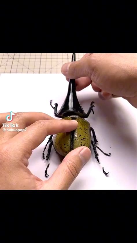 V8 Swapped Bug Rengineporn