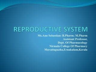 Reproductive System Intro Part PPTX Infertility Reproductive Health
