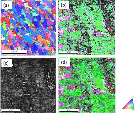 Ebsd Micrographs Of Bulk And Cryorolled Al 2014 Alloy A Oim