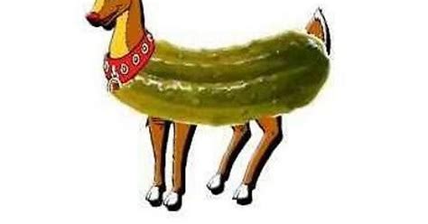 For Your Viewing Pleasure Imgur