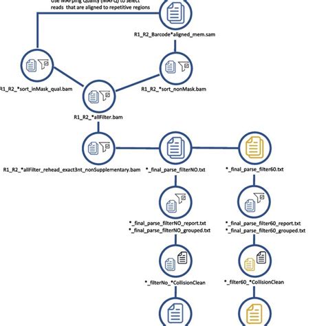 Schematic Representation Of The Alignment Procedure Embedded In The Download Scientific Diagram