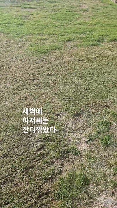 잔디는 해뜨기전에 깎아야 한다~ Youtube