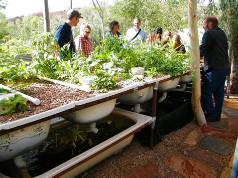 Diy Everything You Need To Know To Build A Simple Backyard Aquaponics