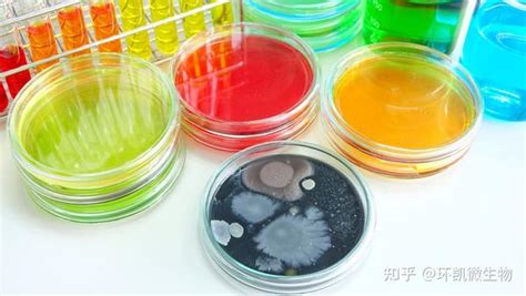 培养基的制备、使用、保存及相关疑难解答 知乎