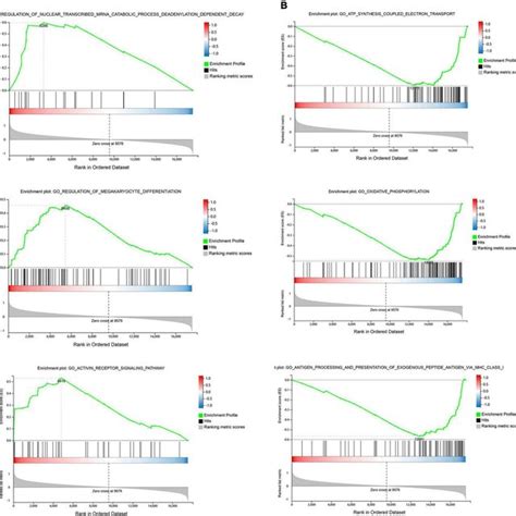 Enrichment Analyses Via Gene Set Enrichment Analysis Gsea A The
