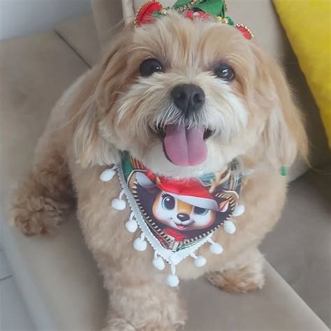 Sofia Basso Sofiabassz • Threads Say More