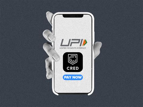 Cred Launches ‘scan And Pay Feature As It Enters Offline Payments Space The Economic Times