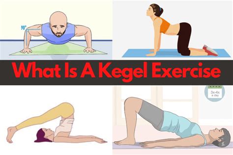 How To Do Kegel Exercise Kegel Exercises For Men Pzwk
