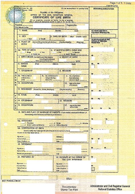 Birth Certificate Form Pdf Download Free Printable Templates Hub