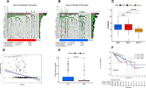 Somatic Mutation Analysis Characteristics A Distribution Of The Top Download Scientific