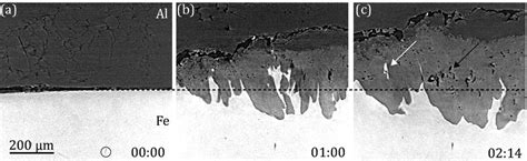 13 In Situ X Ray Micro Tomography Observation Of The Horizontal Download Scientific Diagram