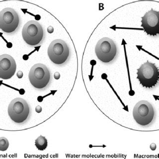 Diffusion Mechanism Diagram A Illustrates A Microenvironment With Download Scientific Diagram
