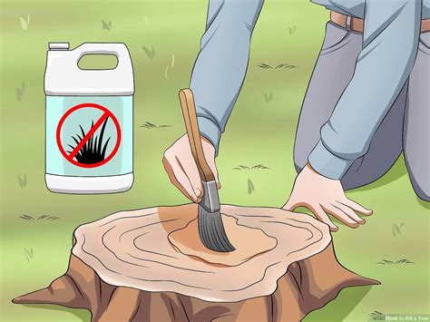 Spray To Kill Trees Pregnancy Informations