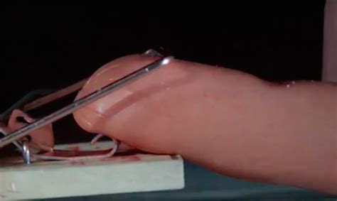 Someone Put The Unthinkable In A Mouse Trap VIDEO