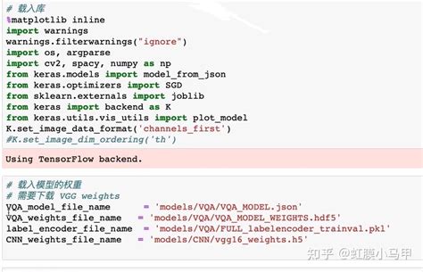 NLP实战 视觉问答机器人 VQA 原理与实现 知乎