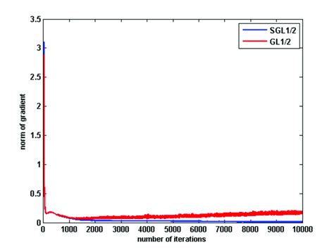 ecoli problem norm of gradient of sgl 1 2 and gl 1 2 algorithms η