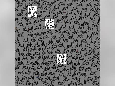 Optical Illusion Tells If You Have Sharp Observation Skills