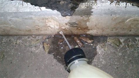 Уничтожение муравьев в бане, личный опыт - YouTube