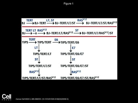 Identification Of Genotype Selective Antitumor Agents Using Synthetic Lethal Chemical Screening