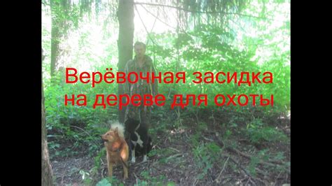 Верёвочная засидка на дереве для охоты - YouTube