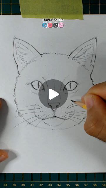How To Draw Cats 19 Easy Guides In One Tutorial Sketchok Cat