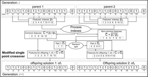Modified Single Point Crossover For Binary Data Download Scientific Diagram
