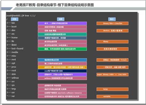 Network Folder Structure Diagram Bargainpsado