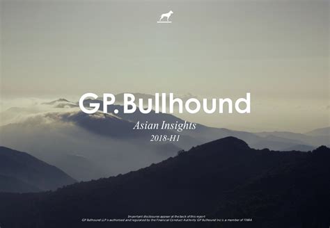 2018年上半年亚洲洞察力(英文版)docx 先导研报 2018年上半年亚洲洞察力(英文版)docx 先导研报