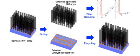 illustration of the cnt array processing to form detached