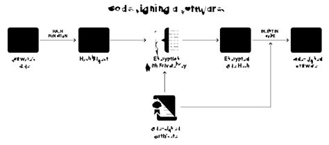 Rsa 4096 Bit Key Size In Code Signing Certificate