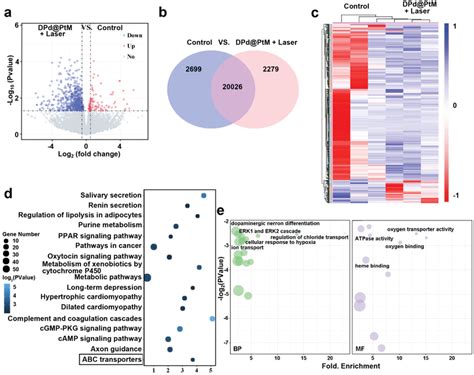 A Volcano Plot Exhibiting The Upregulated And Downregulated Genes In Download Scientific