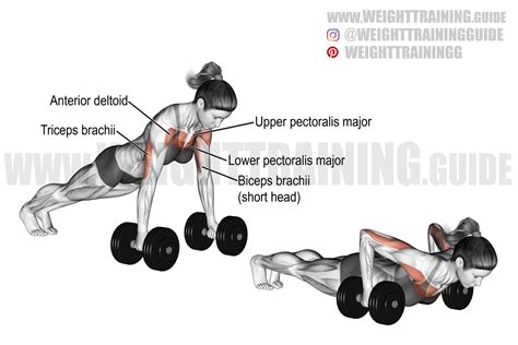 Dumbbell Deficit Push Up Exercise Instructions And Video