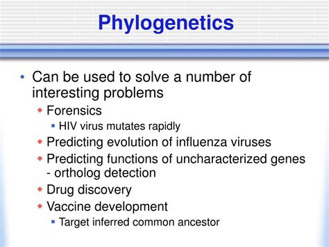 Ppt Phylogenetics Distance Based Methods Powerpoint Presentation