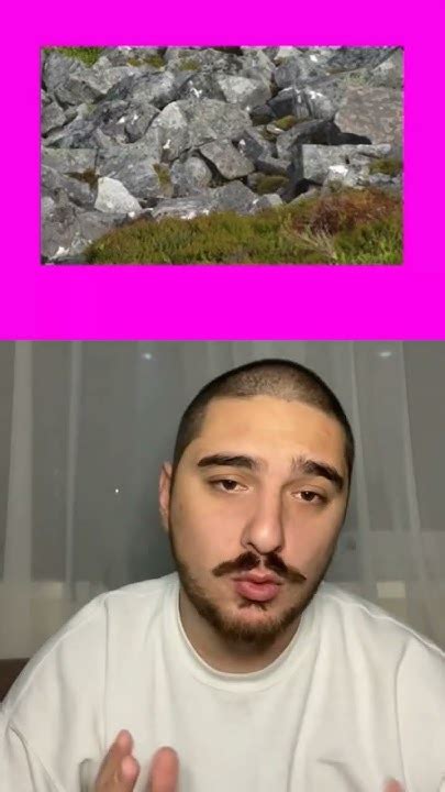 დაინახე ფოტოზე დამალული არსება 😯😯 გამოიწერეთარხი Youtube