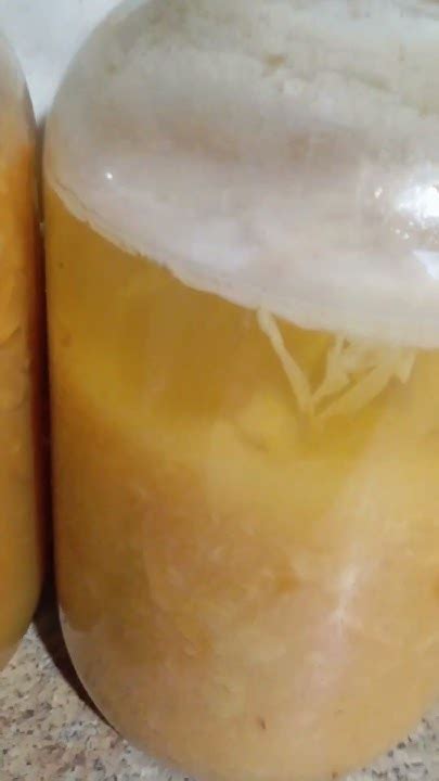 🍎ЯБЛОЧНЫЙ УКСУС 🍏 своими руками Youtube