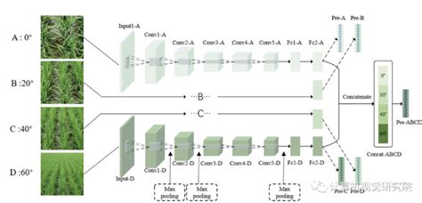 干货 利用像机图像通过卷积神经网络实时进行水稻检测致敬袁老 极市开发者社区