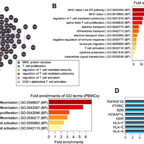 Transcriptomic Profiling Transcriptomic Profiling And Comparison Of