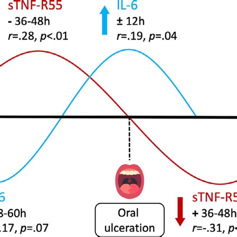 Immune System Dynamics Before And After Oral Ulcerations In An