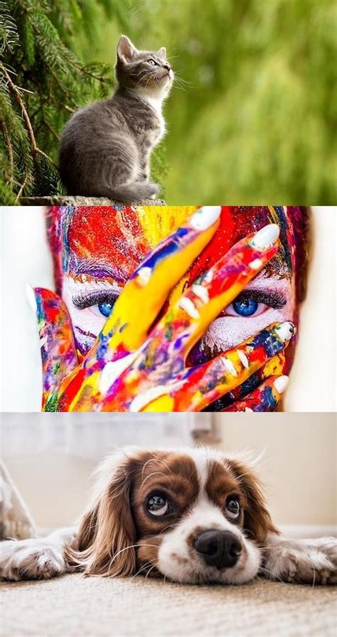 Python Pillow Stitch Images