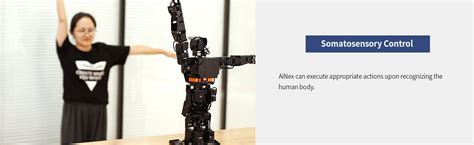 Ainex Ros Education Ai Vision Humanoid Robot Powered By Raspberry Pi