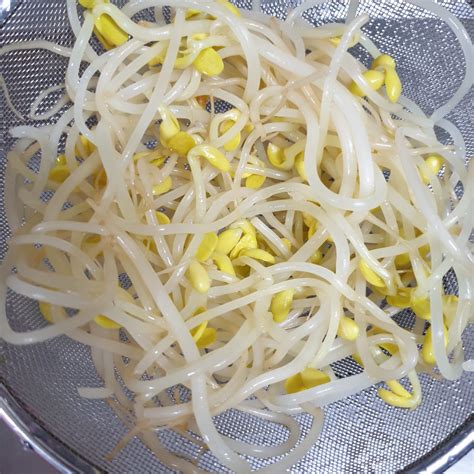 매콤한 오징어 볶음 콩나물 오징어 볶음