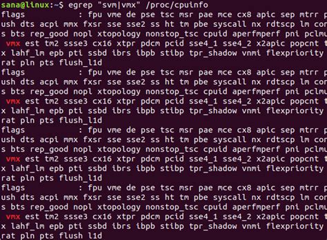 How To Check If Your Processor Supports Virtualization Technology On Ubuntu VITUX