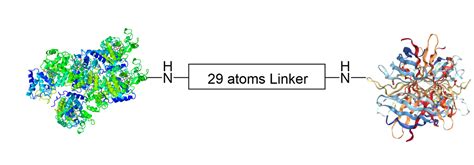 Hrp Streptavidin 1 1 Conjugate