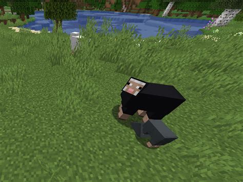 Wool Sheep Face Minecraft Goimages I