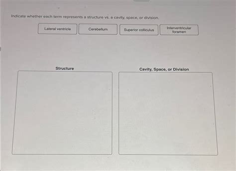 Solved Indicate Whether Each Term Represents A Structure Vs