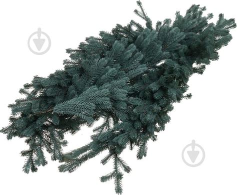 ᐉ Гірлянда хвойна Siga Group Віденська блакитна 2 5 м • Краща ціна в Києві Україні • Купити в