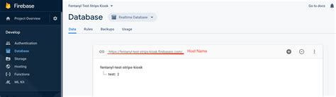 Sending Data To Firebase With The Esp8266 Wifi Module Sensing The City