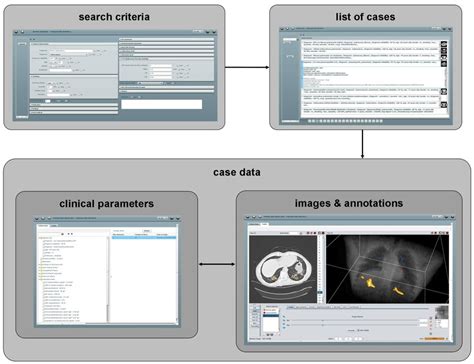 Workflow Of The Ria For The Navigation In The Database Using Exact Text